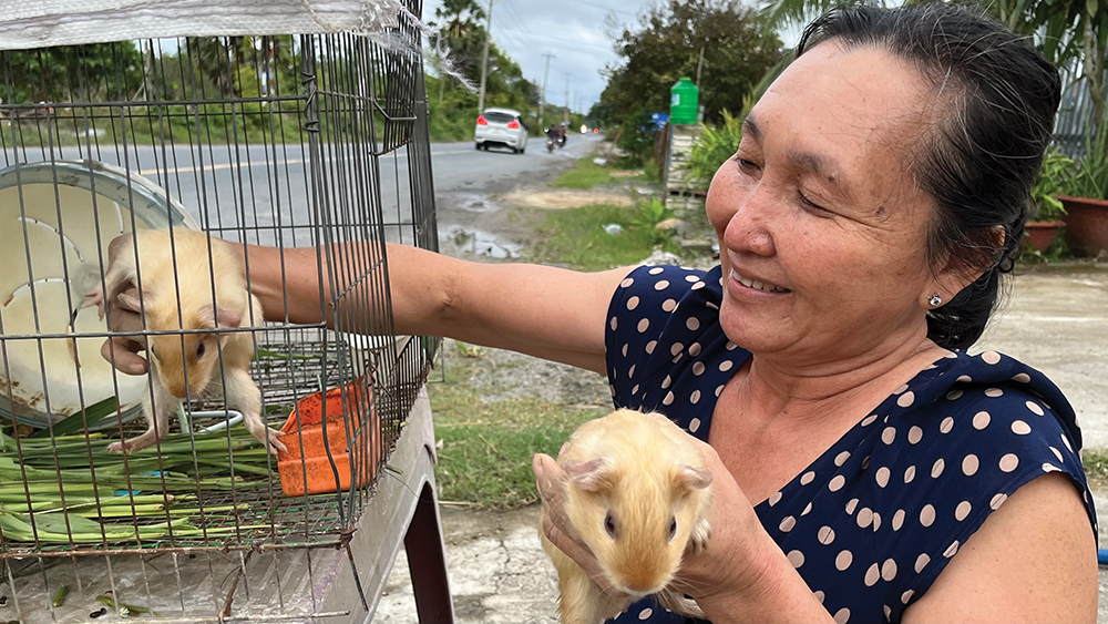 Thú cưng bọ ú - Báo An Giang Online